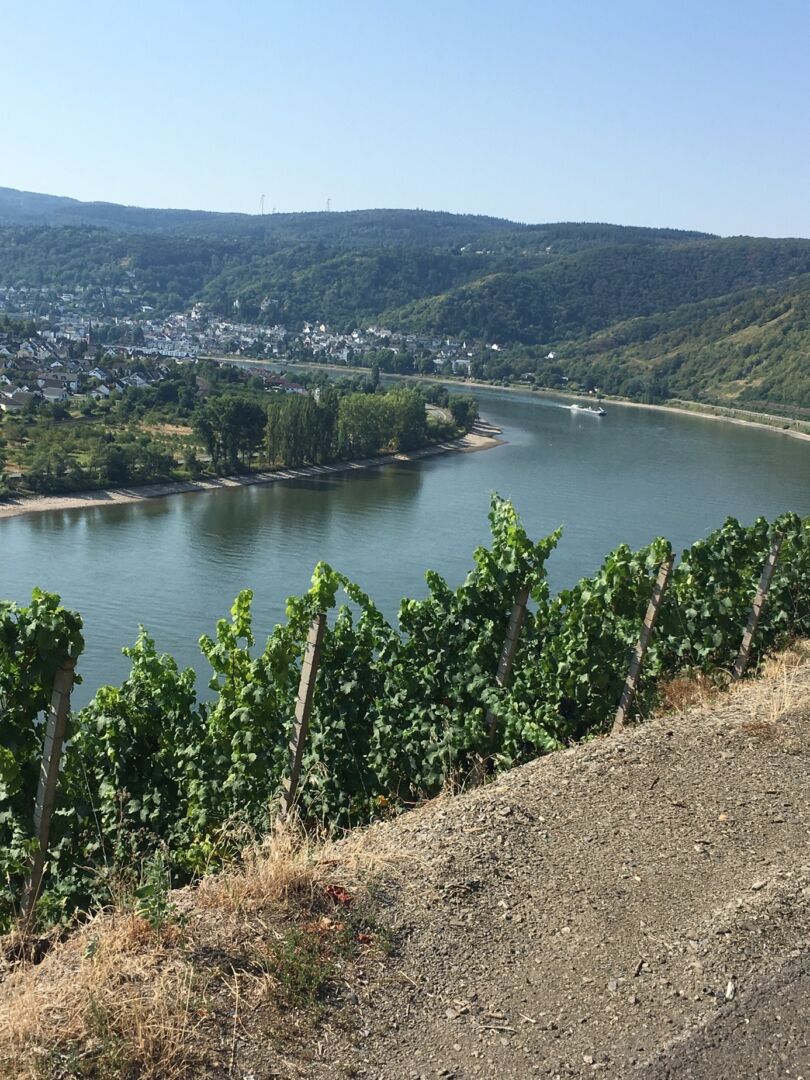 Crucero por el Rhin | Cómo hacer un viaje por el río Rin
